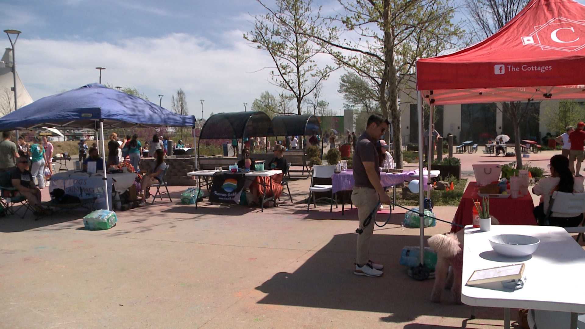 'Paws Off' event seeks to raise awareness about sexual assault