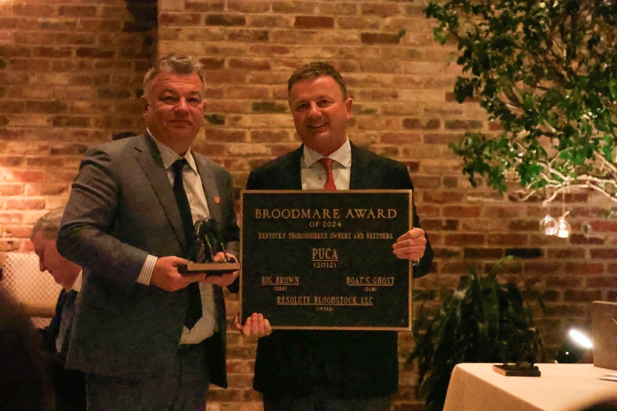 Puca, Dam Of Classic Winners Mage, Dornoch, Named Broodmare Of Year At ...