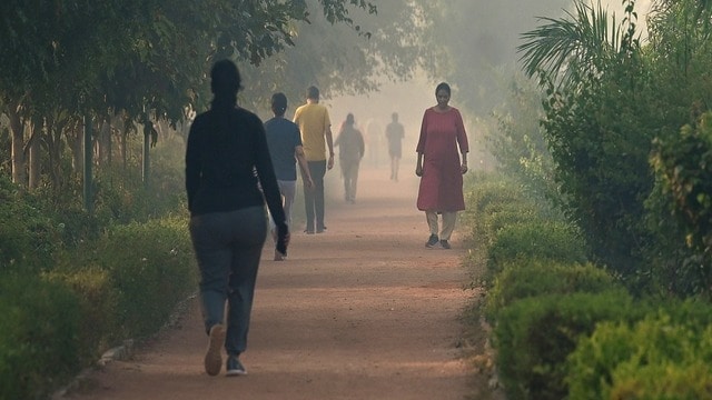 दिल्ली को मिलेगा नया पिकनिक स्पॉट, DDA 900 एकड़ में बनाएगा मयूर पार्क ...