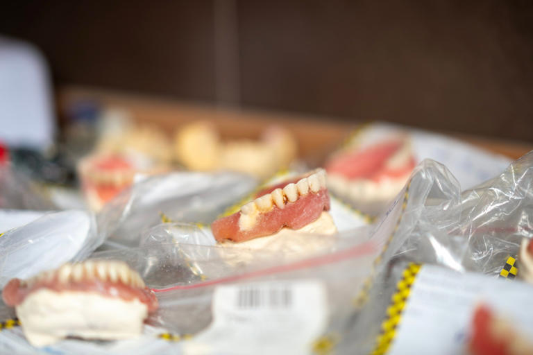 Human teeth successfully grown in lab for first time