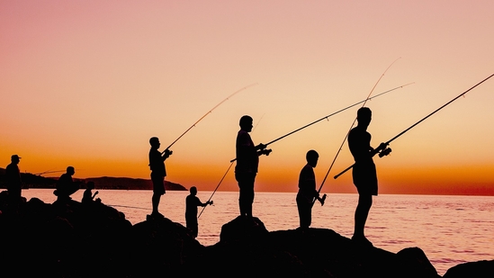 What is invasive fish? Warning issued over northern snakehead rapidly ...