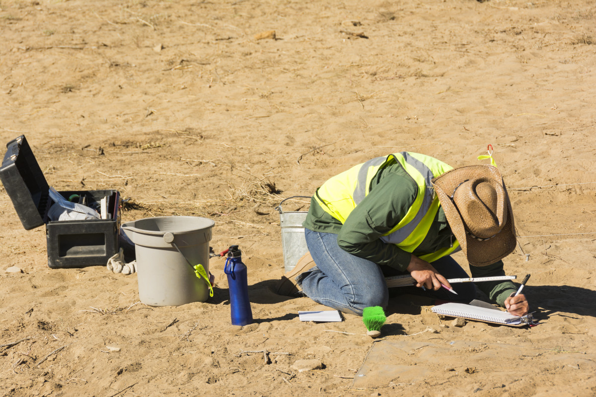 Archaeologists Make History with Discovery of Ancient Ivory Tools