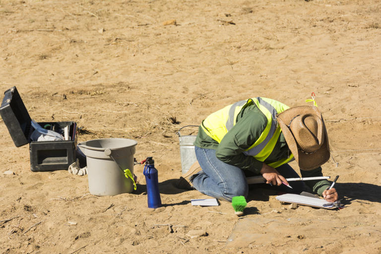 Archaeologists Make History with Discovery of Ancient Ivory Tools