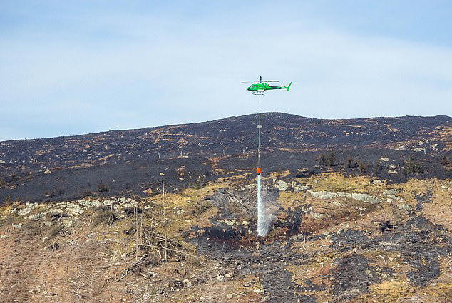Arran left barren in the wake of wildfire's trail of destruction
