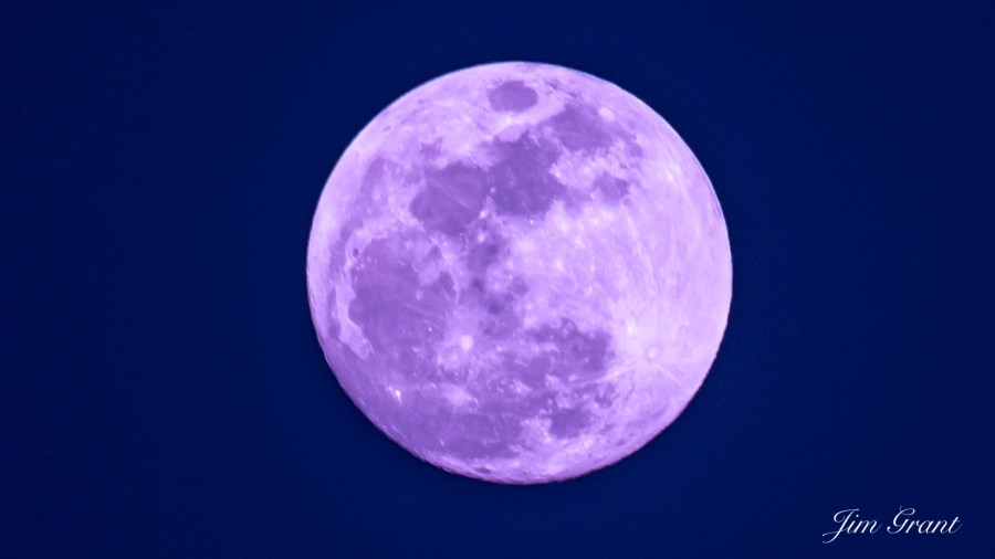 ‘Pink micromoon’ hovers over San Diego
