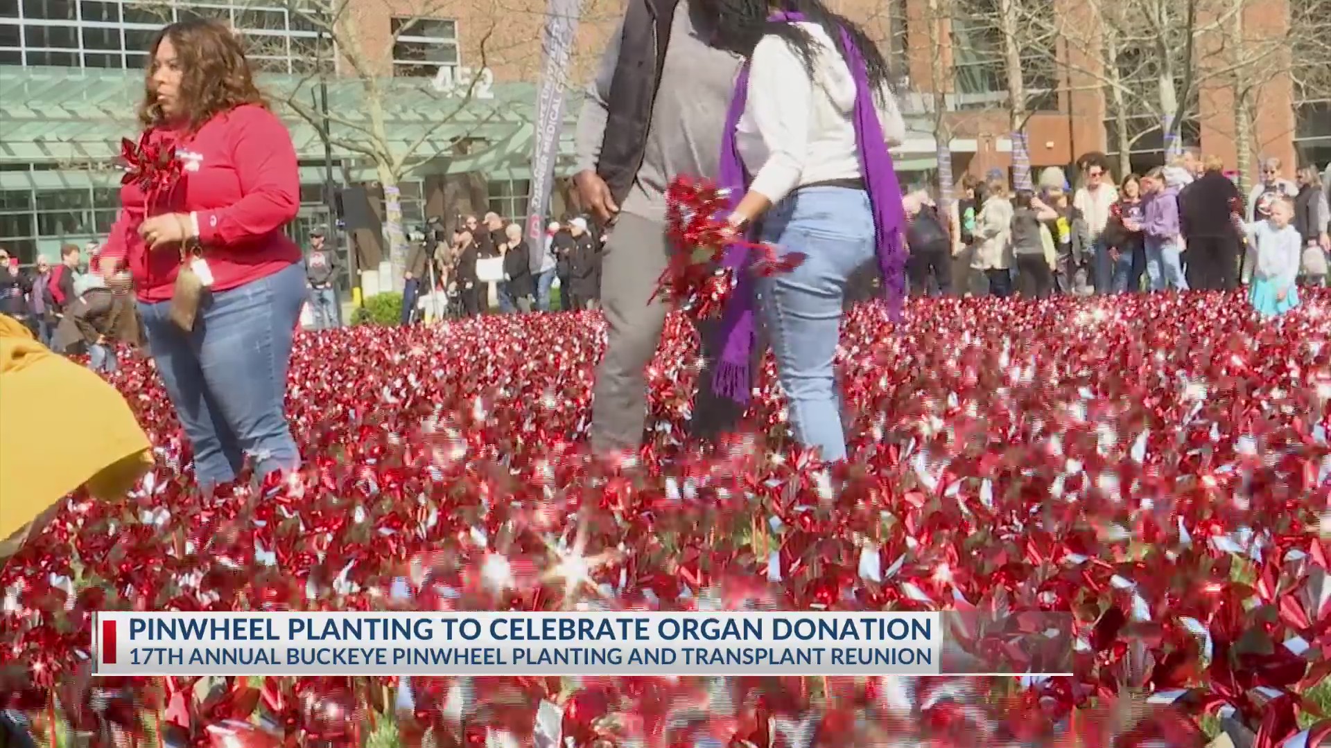 Annual Buckeye pinwheel planting celebrates, brings awareness to organ ...