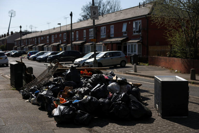 British Army called in to fight Birmingham rats after piles of rubbish grow