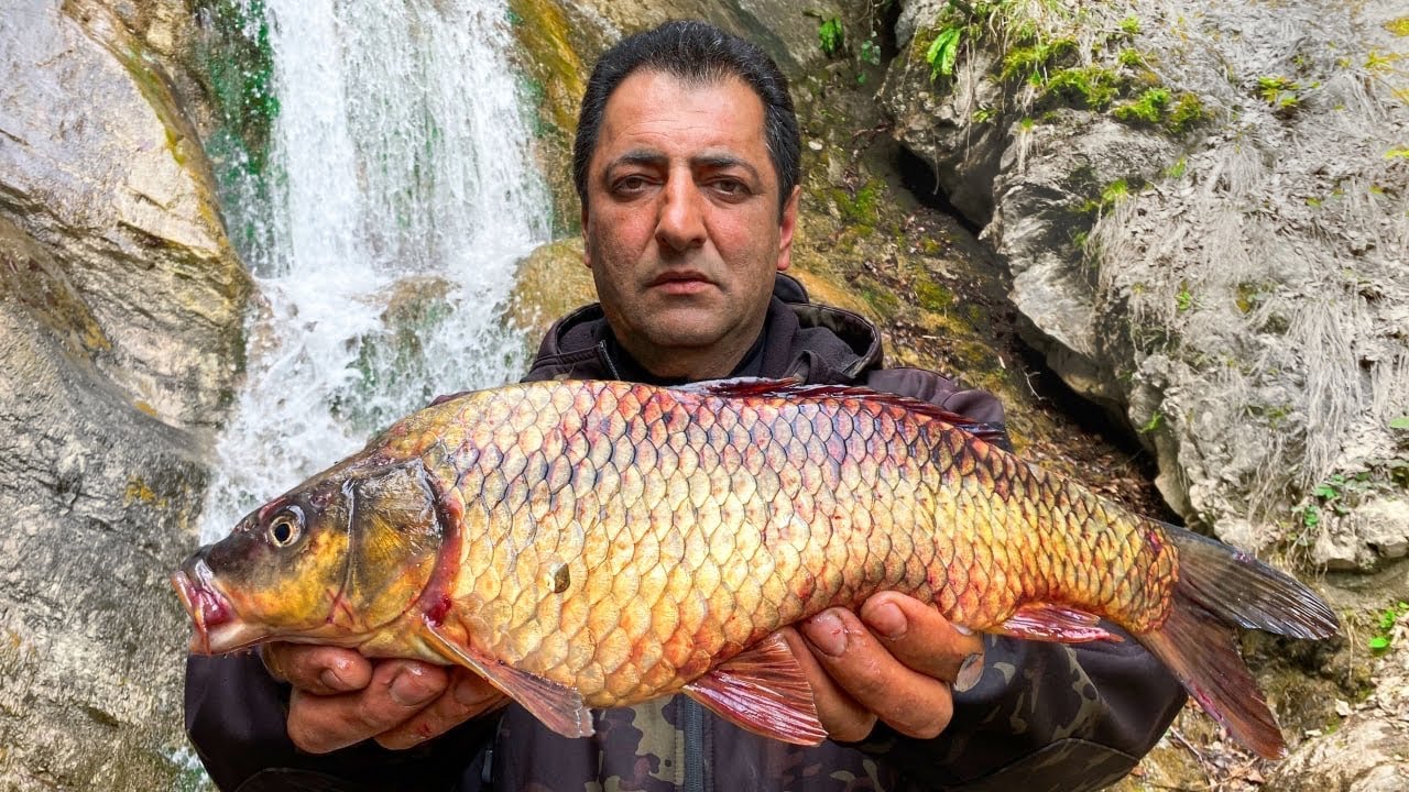 3 Carp Cooked by the Waterfall | The Perfect Outdoor Lunch