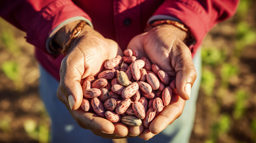 America's historic crops at risk as DOGE cuts funding for seed bunkers