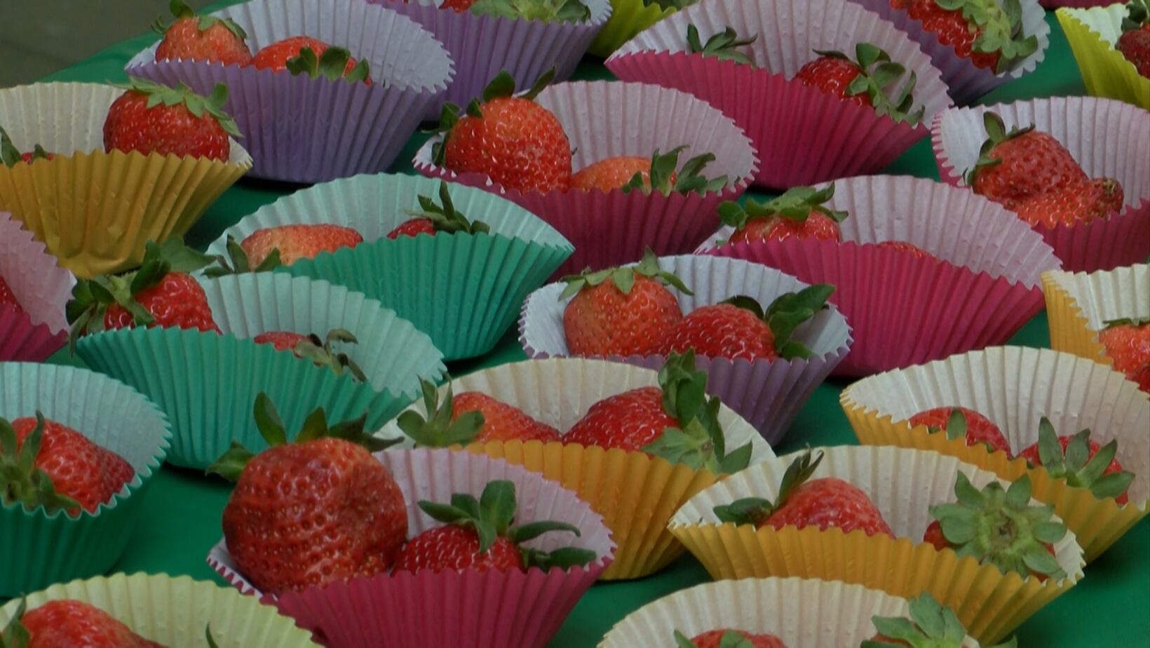 Strawberries and Cream Festival celebrates history, nature at Crosby ...