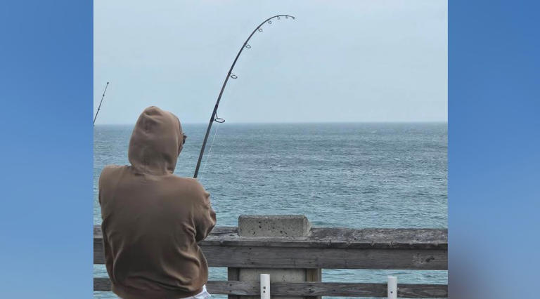 Massive bluefin tuna catches halted at NC pier after officials step in ...