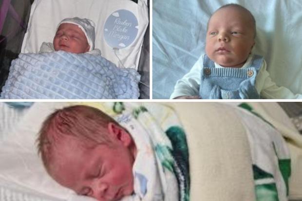 A big welcome to the world for these three new arrivals