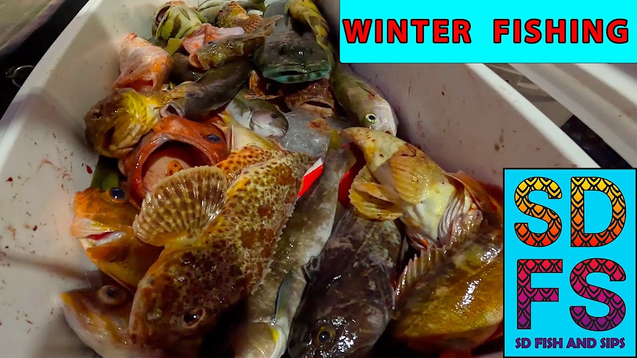 Winter Rockfish at the Coronado Islands + Delicious Fish Recipe