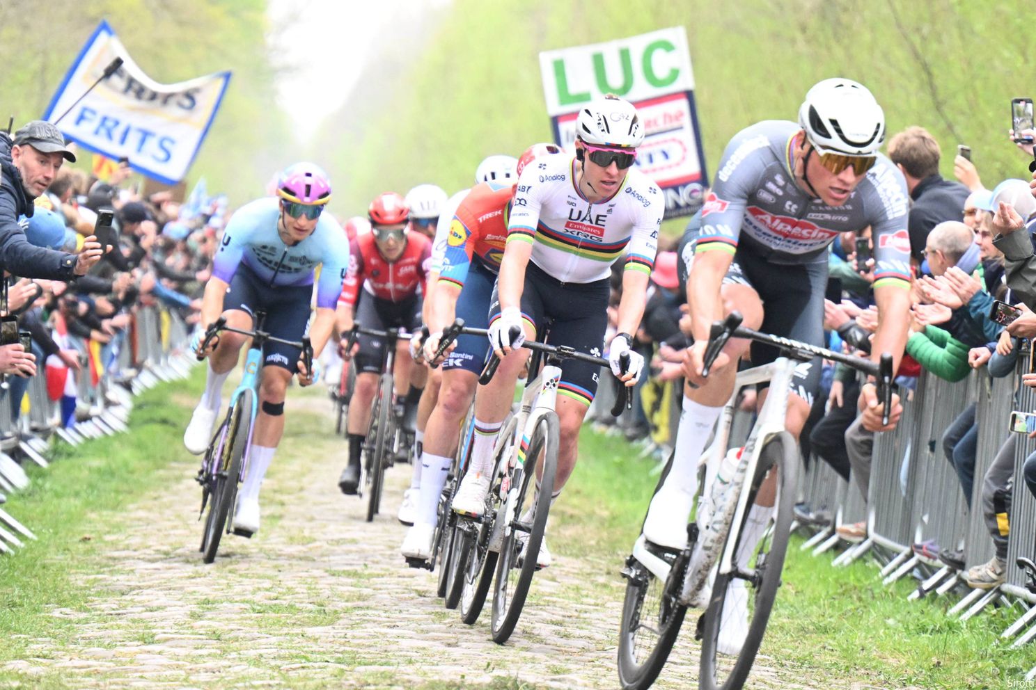 Media bow to van der Poel and Pogacar: "The best classics rider in the ...