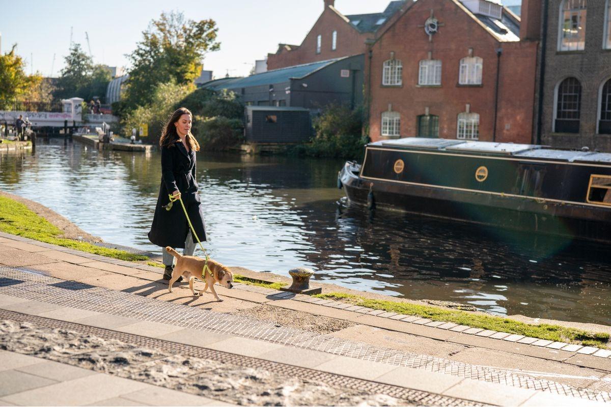 Rambles with Rover: Rover reveals the best ‘treat walks’ for the bank ...