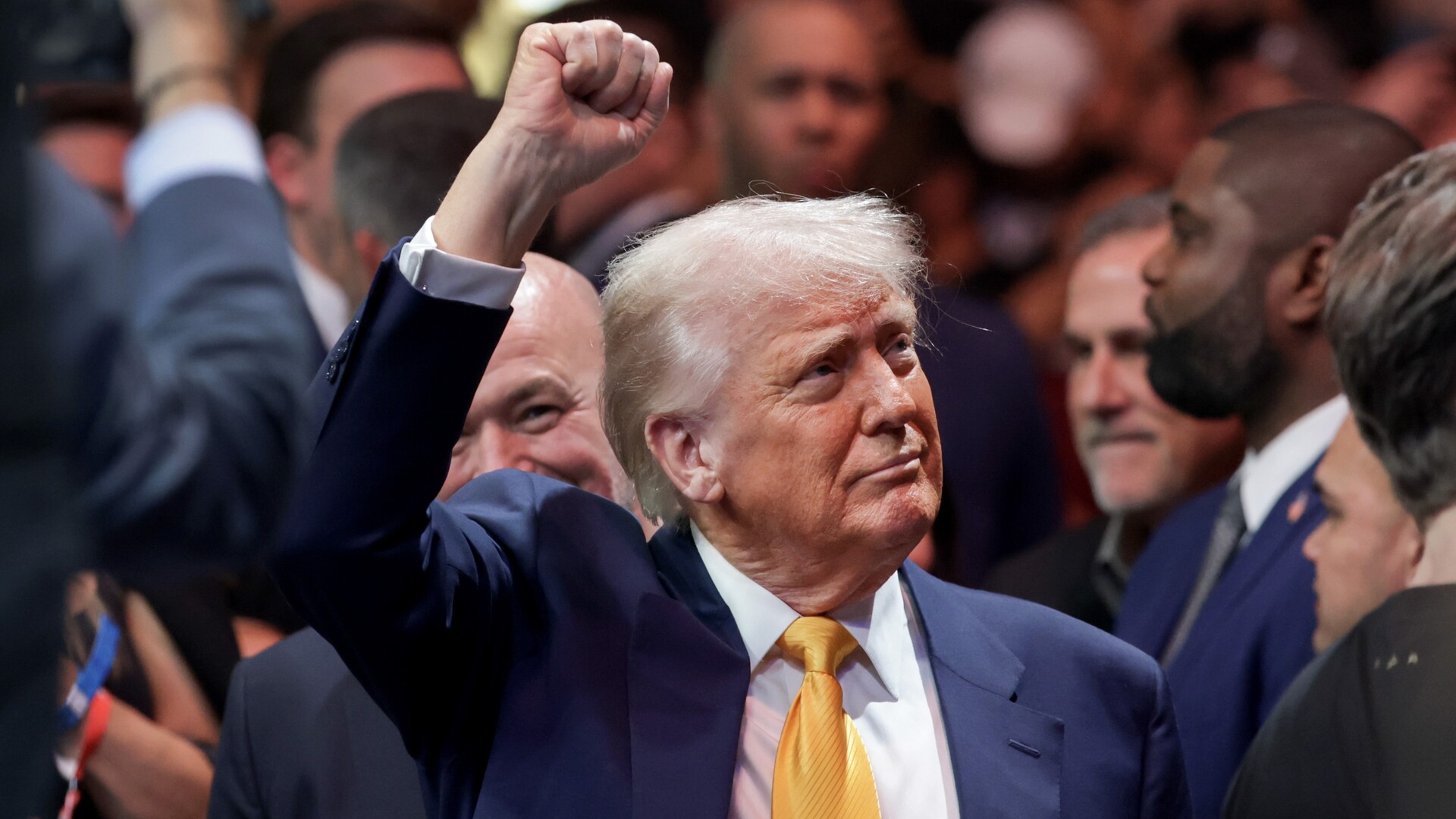 ‘Ultimate celebrity’: UFC crowd ‘goes nuts’ over Donald Trump