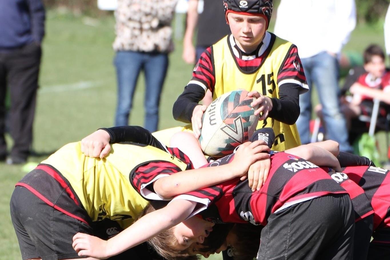 Rugby spirit shines bright at Haywards Heath RFC minis festival