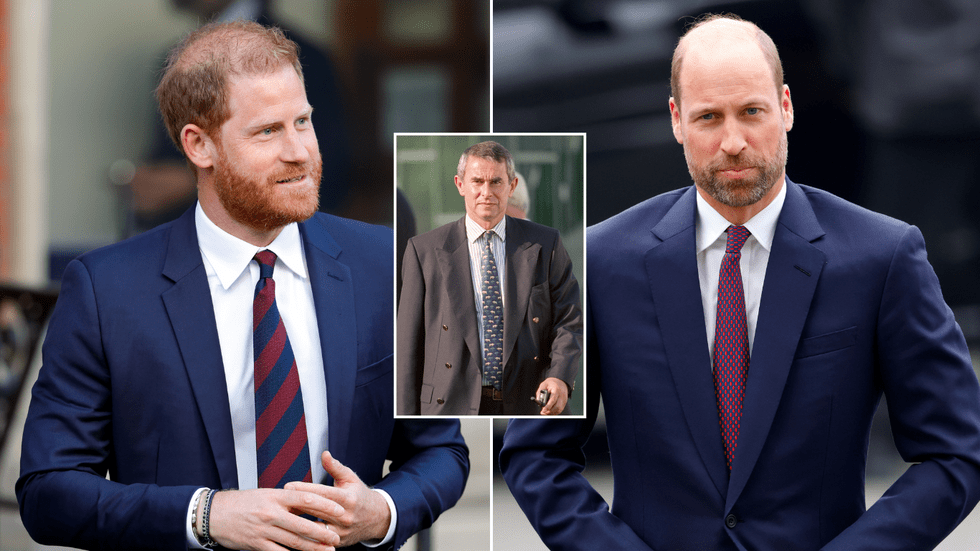 Former royal bodyguard 'horrified' by ongoing rift between Prince Harry ...