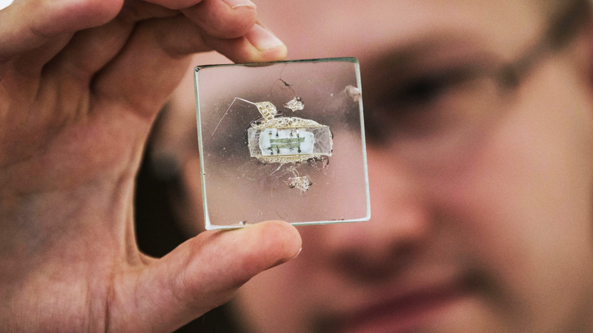 How the US beat the USSR and China in the microchip revolution