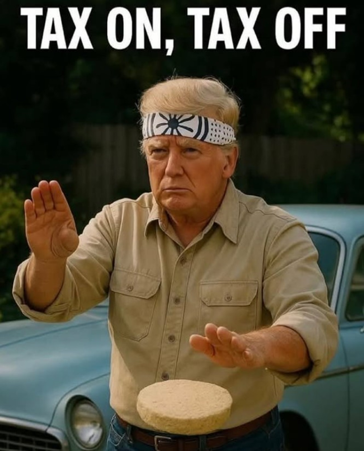 Internet erupts in memes over Trump’s latest tariff moves