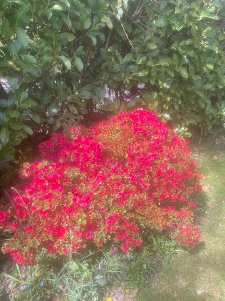 Letter to the editor: This Easter Saturday: The Ifield Wood Hilltop ...