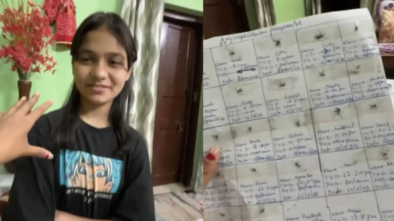 'Pura Machar Samaj Dara Hua Hai': Girl Kills Mosquitoes, And Maintains ...