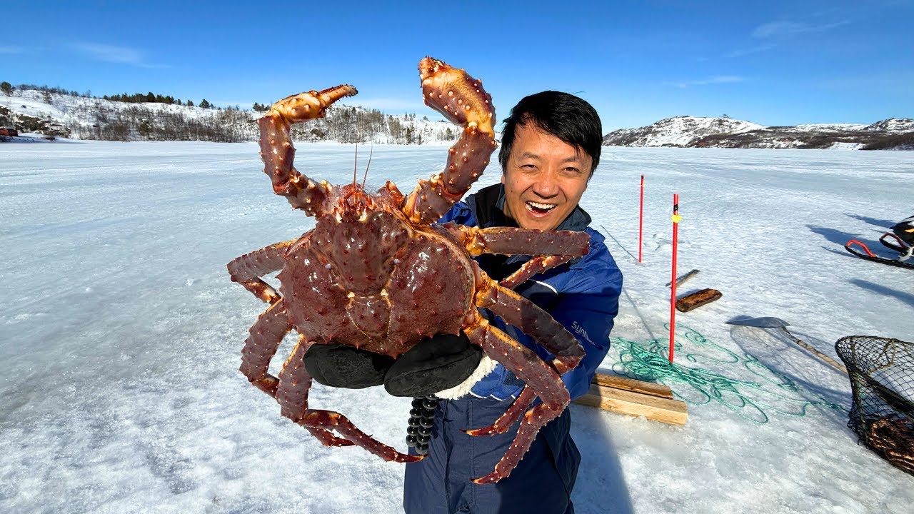 ALL YOU CAN EAT ARCTIC KING CRAB Safari in Norway! Catch, Cook and ...