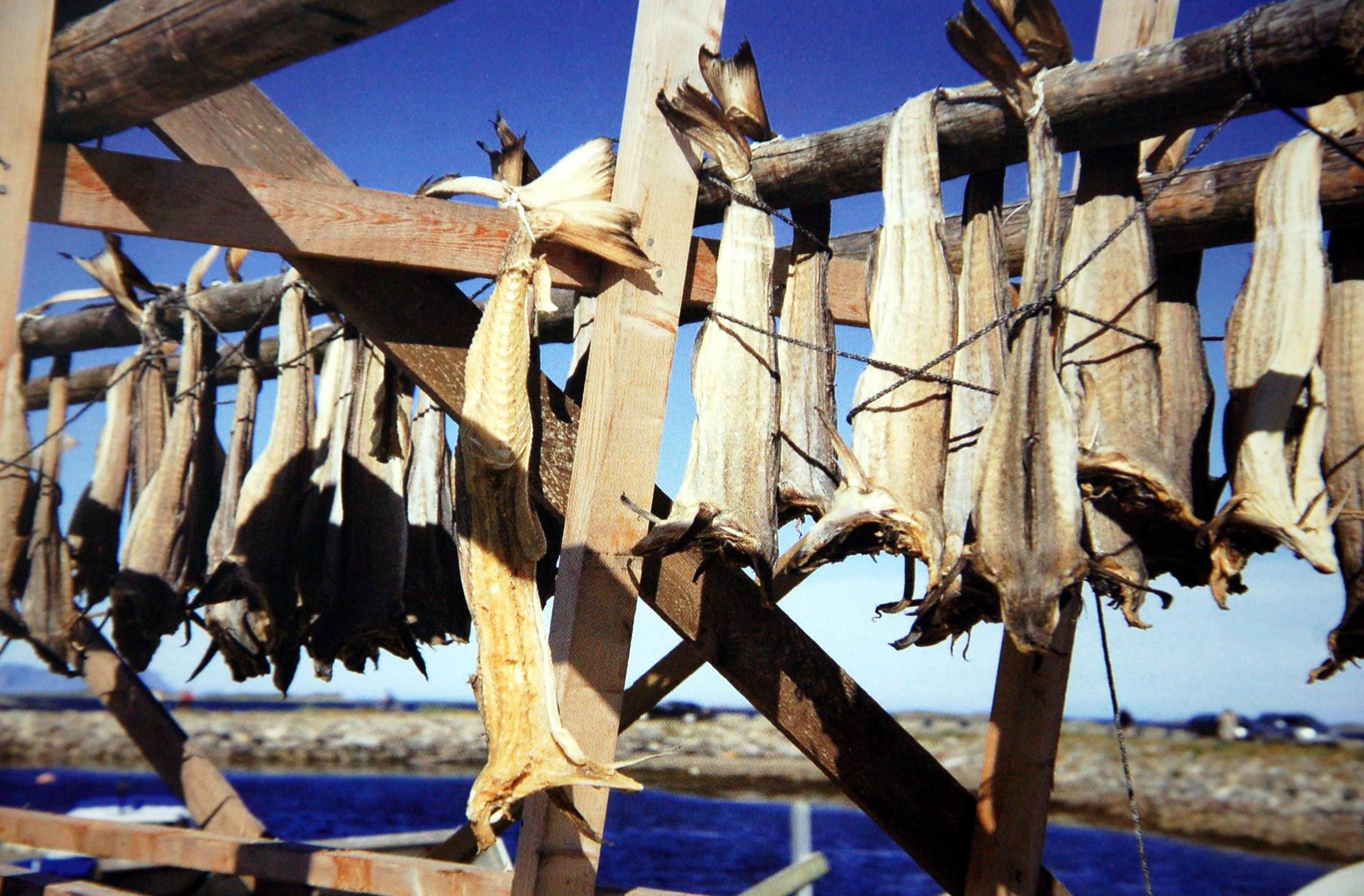 Sequestrata 1 tonnellata di stoccafisso senza etichette a Jesolo