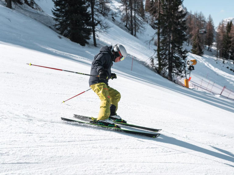 Top 7 Must-Do Activities In Kullu For An Unforgettable Trip