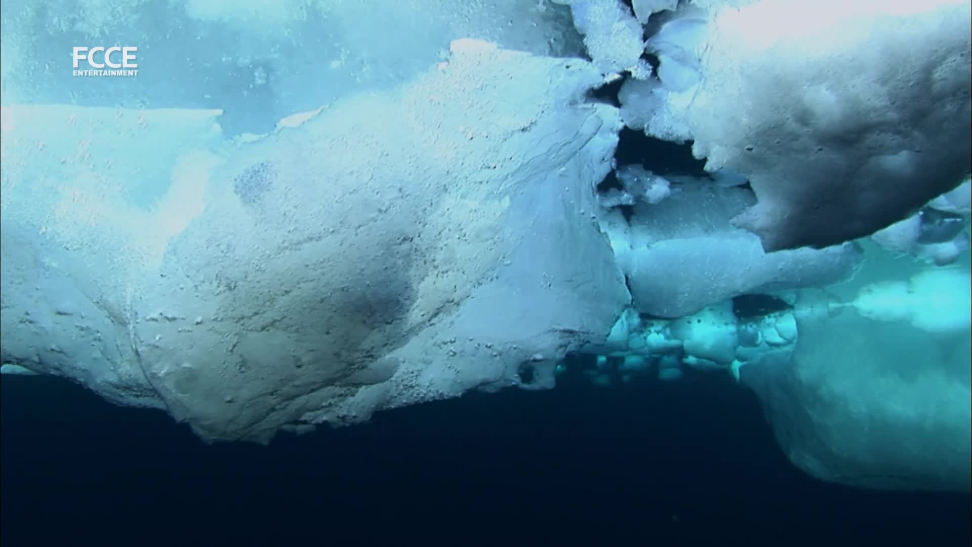 It’s Puffin Day, let’s explore where they live, Greenland