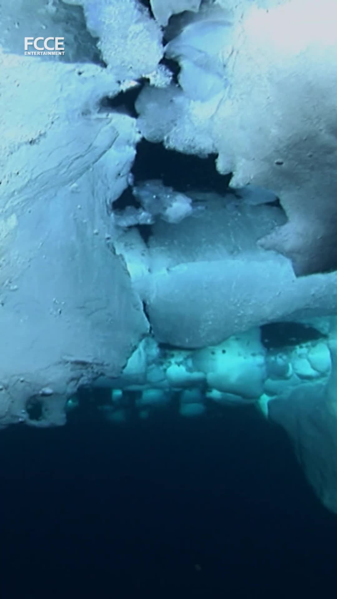 It’s Puffin Day, let’s explore where they live, Greenland