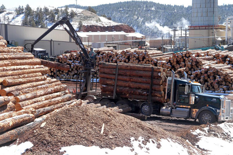 Trump’s ag boss declares 113M-acre logging ‘emergency.’ Will it keep ...