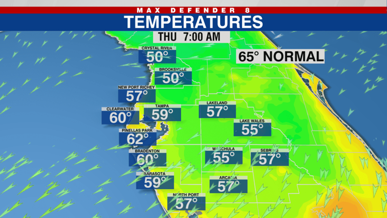 Sunny skies and warming temps this week in Tampa Bay