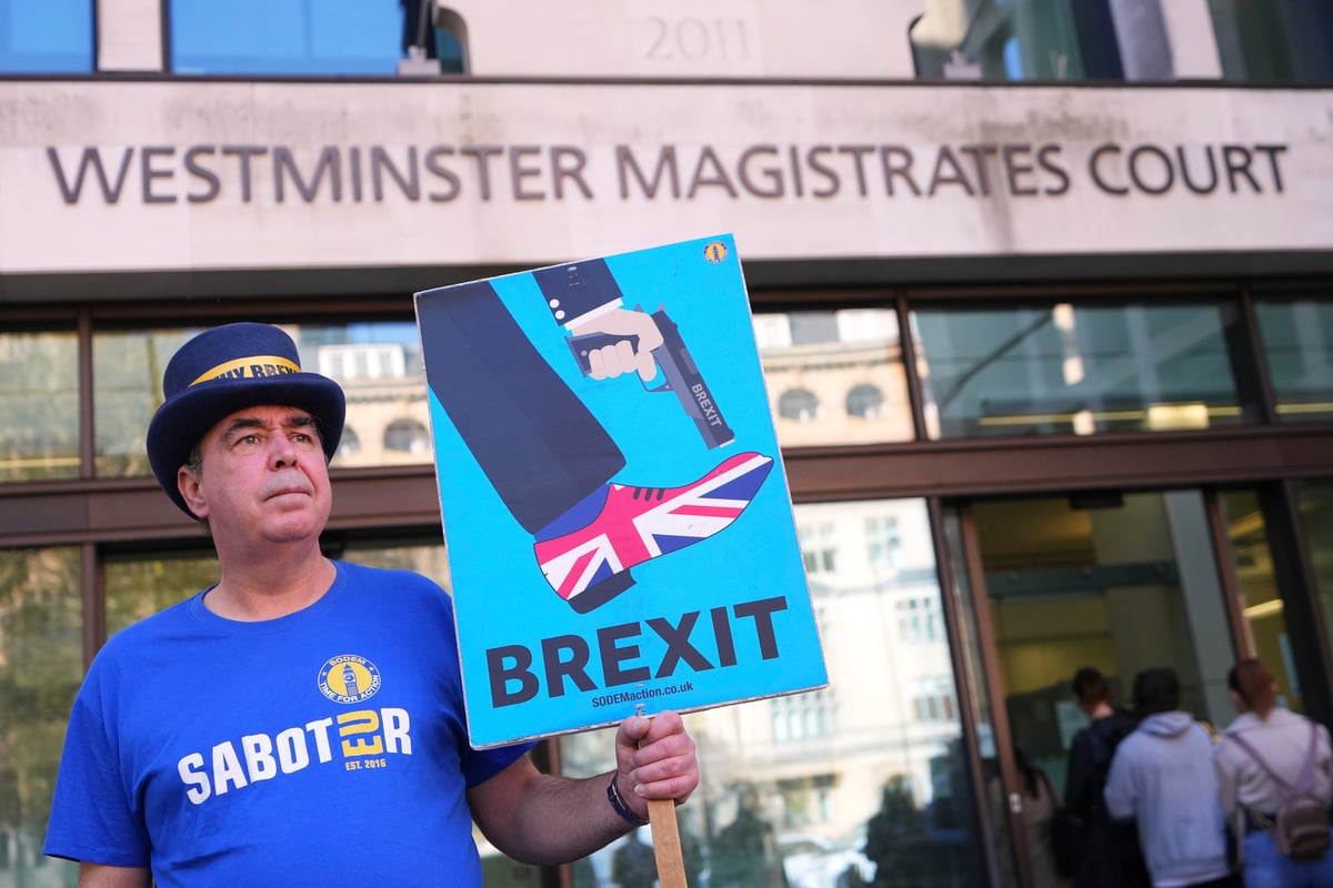 'Stop Brexit Man' cleared of flouting police ban over playing anti-Tory ...