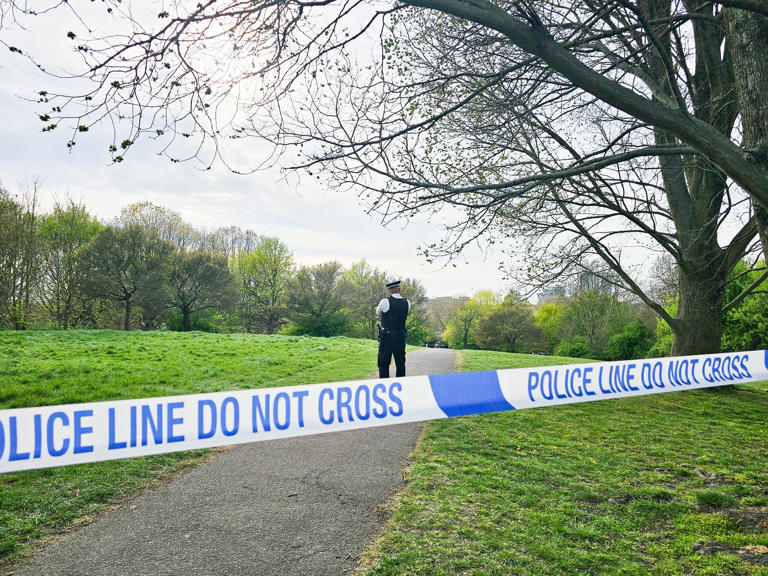 Teenage girl, 16, raped in Primrose Hill park sparking police hunt