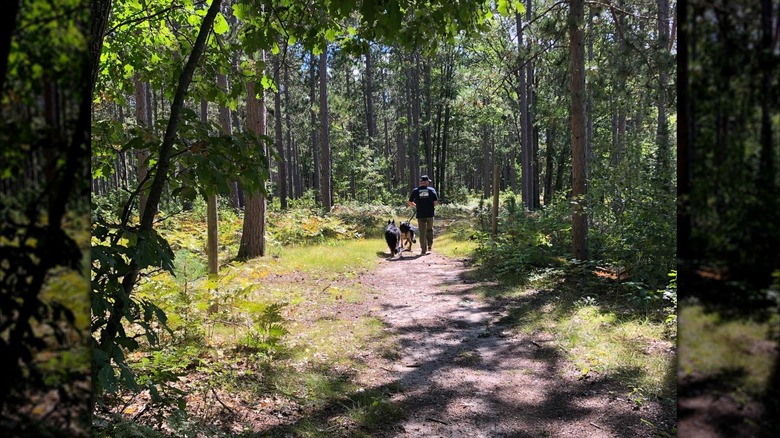 A Rustic, Secluded Michigan Campground Boasts Scenic Trails And The ...