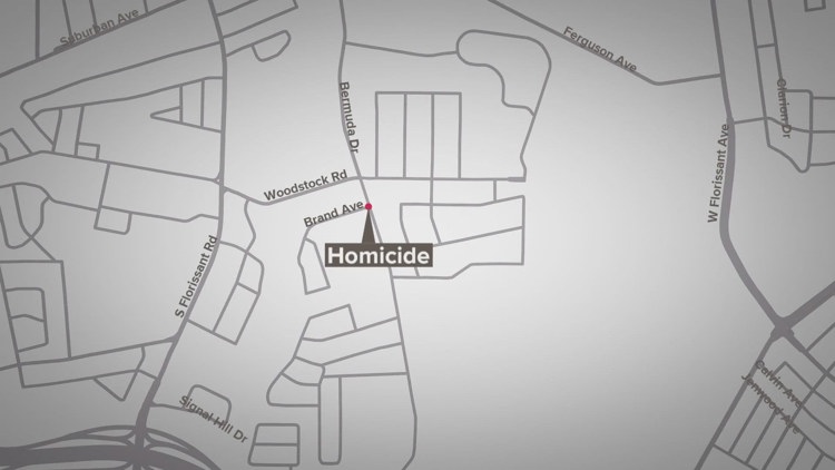 Police investigate Normandy killing; suspect in custody