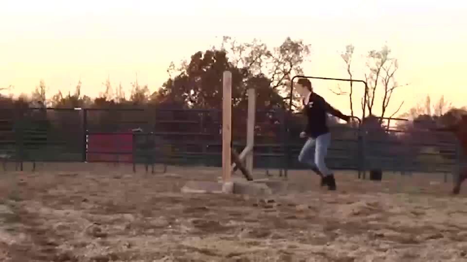 Farm Animal Fails | FailArmy