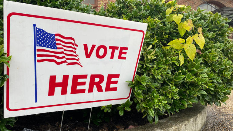 ABC13 breaks down the rules as Lynchburg GOP firehouse primary nears