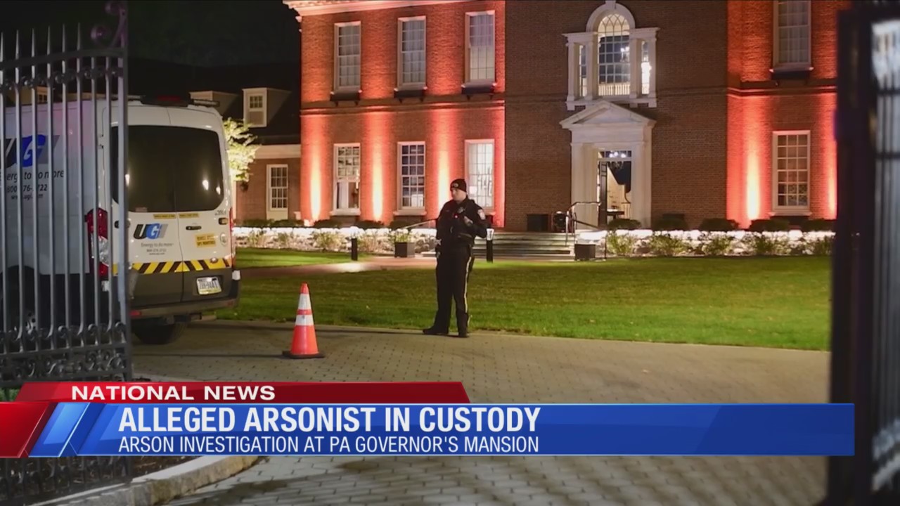 Alleged arsonist in custody