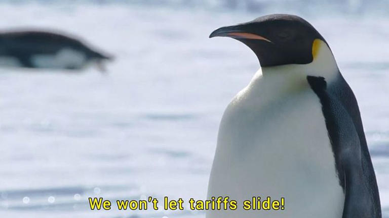 Penguin ‘protest march’ against Trump’s tariffs coming this week
