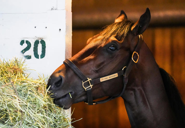 Set for second Kentucky Derby, St. Xavier grad Whit Beckman hopes for ...