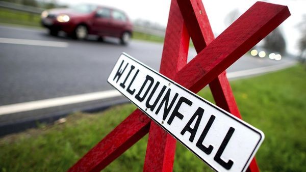 Auffahrunfall nach Wildunfall