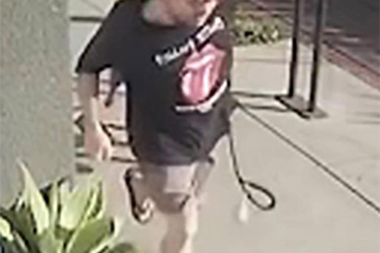 Pit bull kills toy poodle in vicious Santa Monica dog attack; police ...