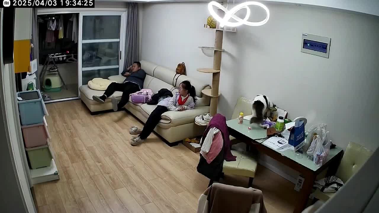 Cat's tail catches fire - feline calmly watches flames with confused look