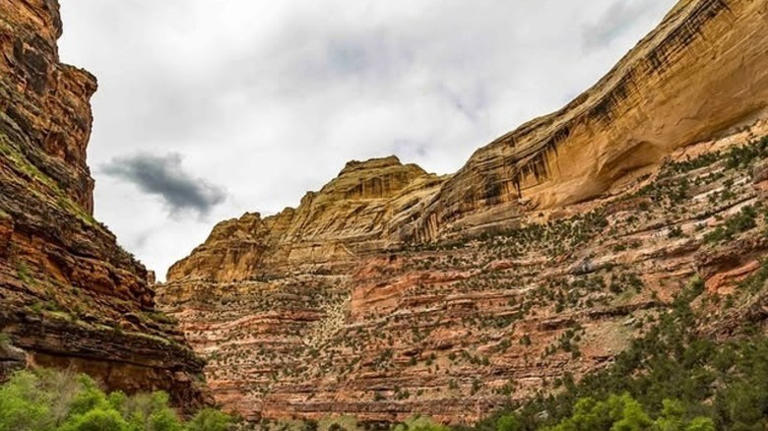 10 Best Places To Look For Fossils In The United States