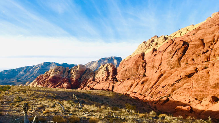 10 Best Places To Look For Fossils In The United States