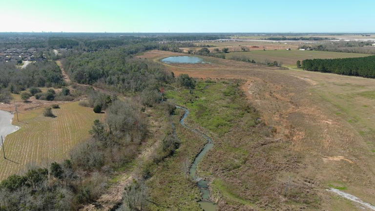 Foley creating wetlands reserve on headwaters of Bon Secour River