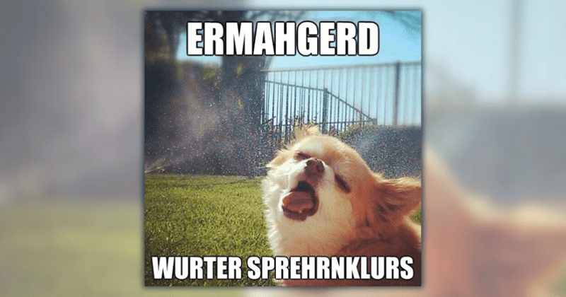 25 Doofus Dog Memes for a Fun and Doggo-Filled Week