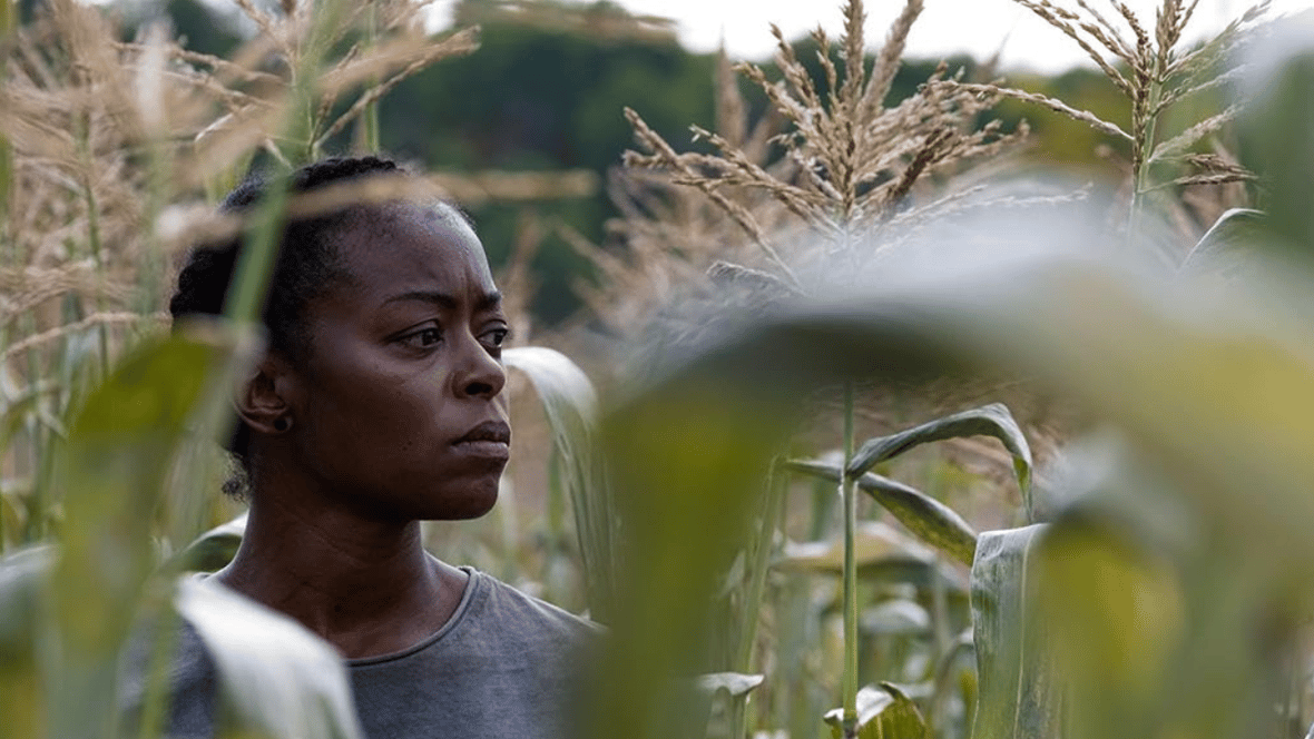 ’40 Acres’ Review: A Family Drama With A Dash of Cannibalism [Overlook Film Festival 2025]